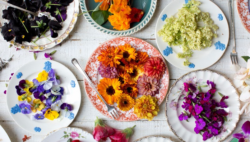 Top de viver, ver e comer.: FLORES PARA COMER E ENCANTAR. Elas são ...