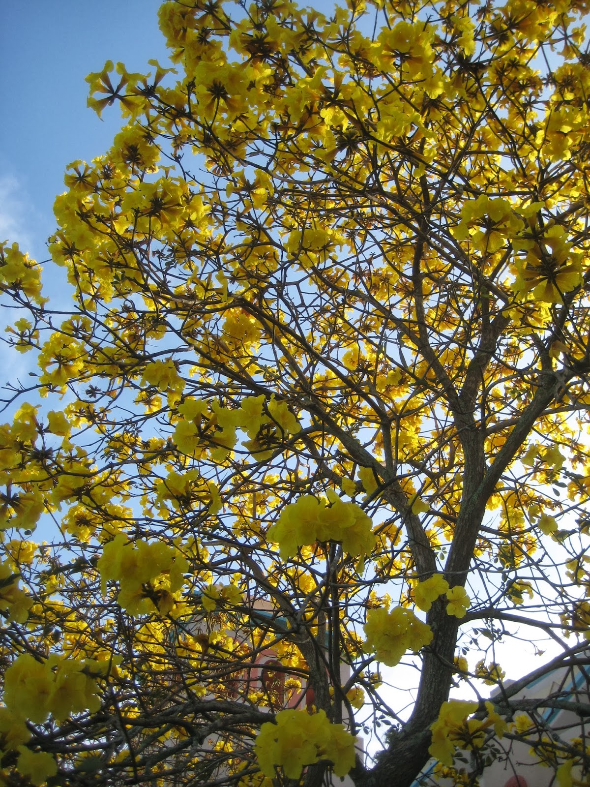 Walk In The Park: February 2014