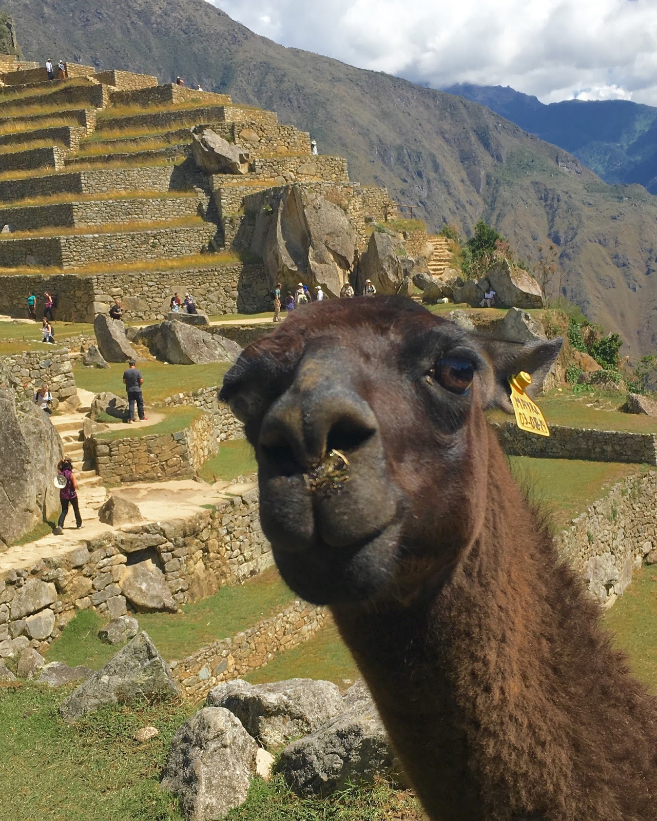 Mandy-In-Motion: Howto Picchu (Getting to Machu Picchu)