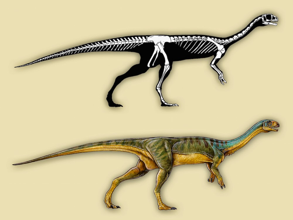 Τέχνης Σύμπαν και Φιλολογία: Δεινόσαυρος «παζλ» ζούσε στη Χιλή. 'Jigsaw ...