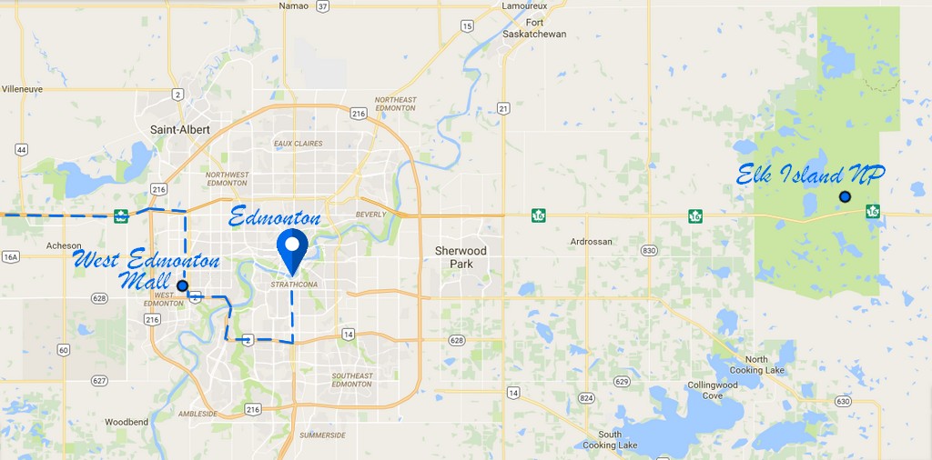 Edmonton & Elk Island National Park