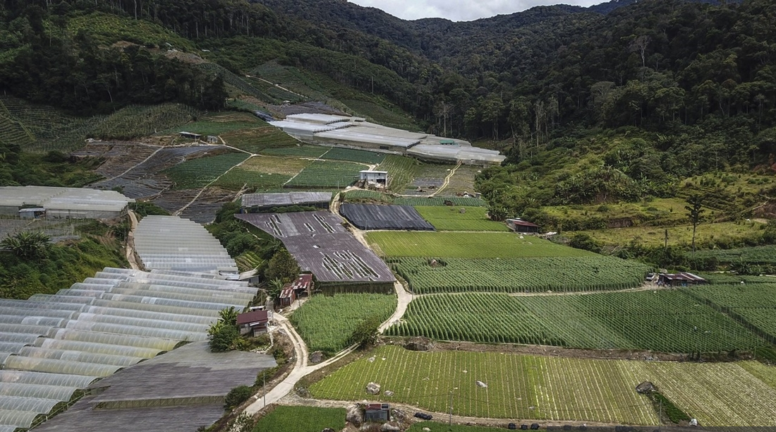 [JERANTUT] PAHANG TAWAR 1,018 PEKEBUN SAYUR CAMERON HIGHLANDS SEWA ...