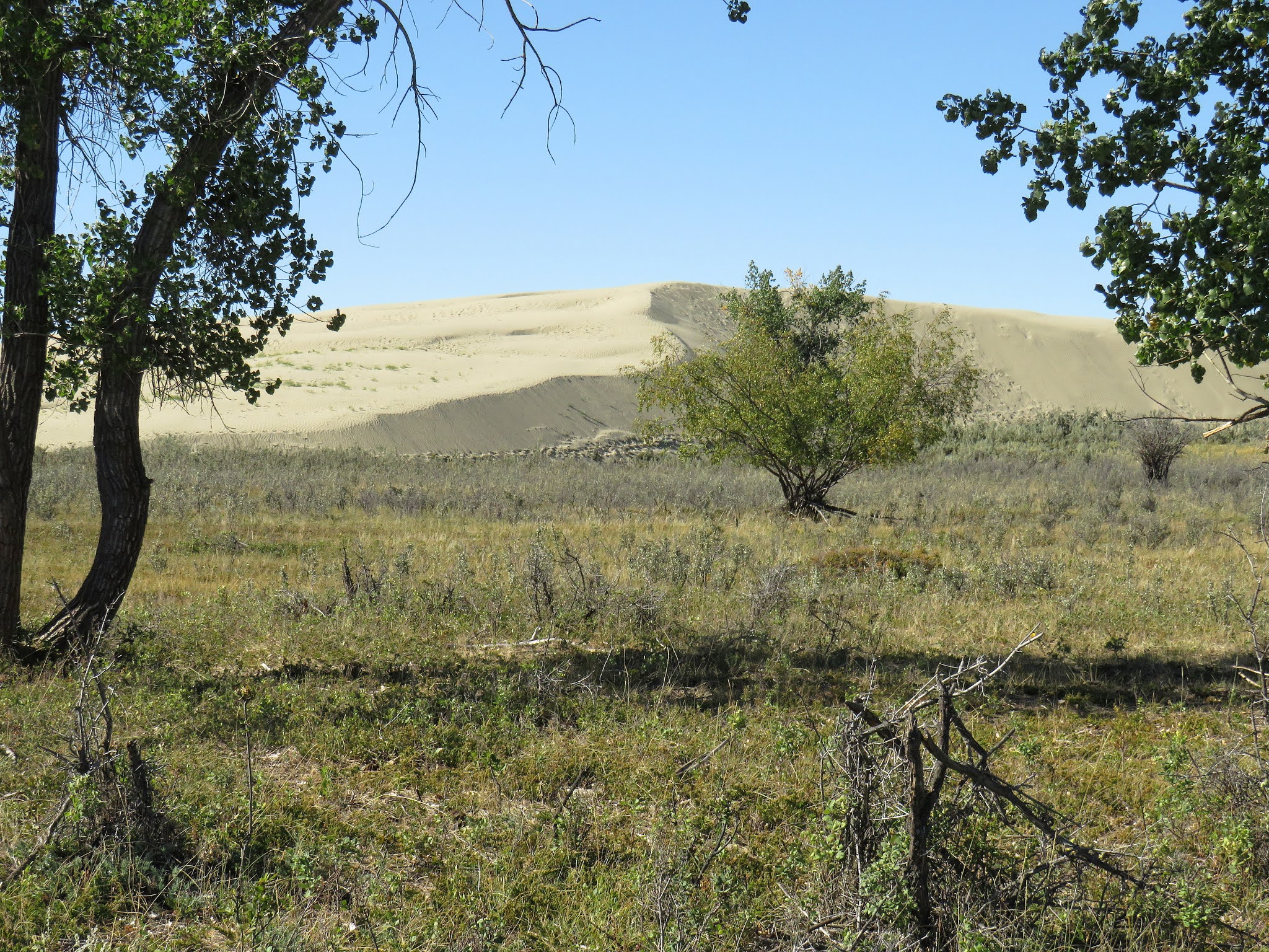 SOUTHWESTIAN: THE GREAT SAND HILLS and the alkali lakes and ponds