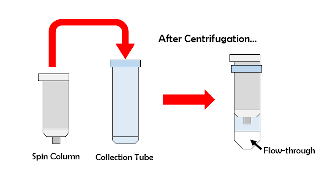 3. Equilibrate the spin column by adding2 mL of binding buffer ...