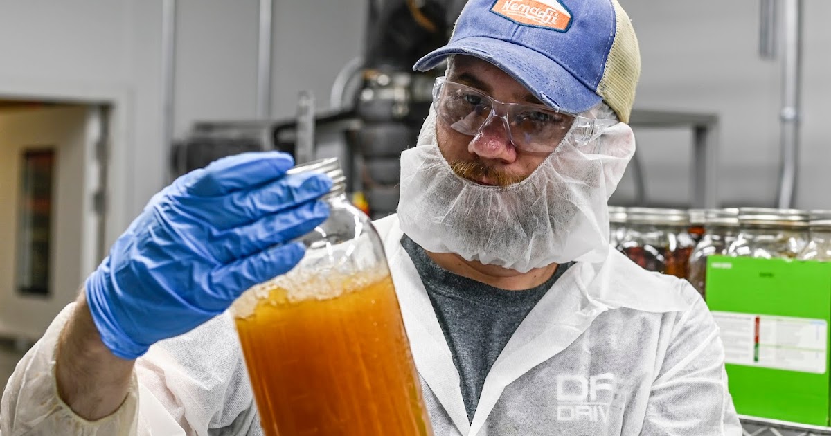 extraktLAB: Hemp Extraction from Plant to Product