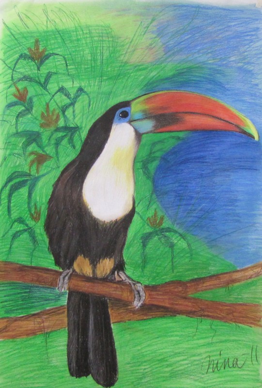 viima living: Tukaani