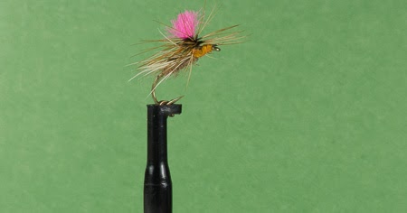 Fishing With Flies :: Blog: Set up for photographing the finished fly ...