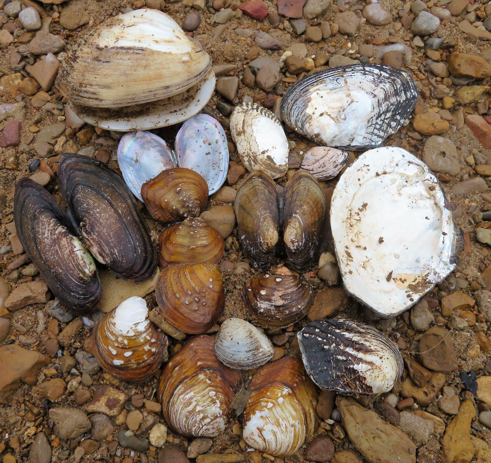 Life on The Edge: Ohio Brush Creek: An interesting valley