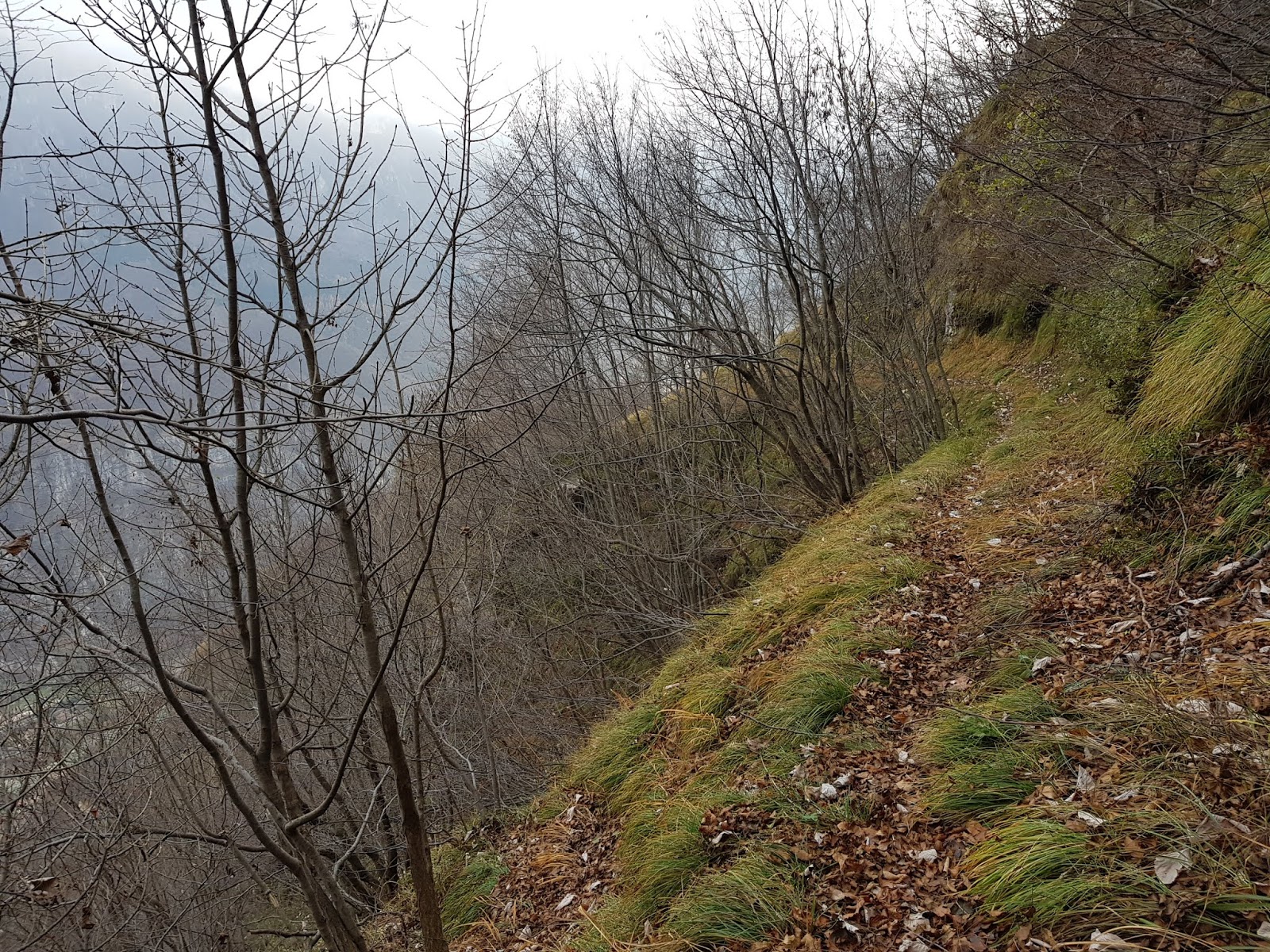 Su strade e sentieri: COL D'ASTIAGO (m. 1.241) - SENTIERO DEL VU - Val ...