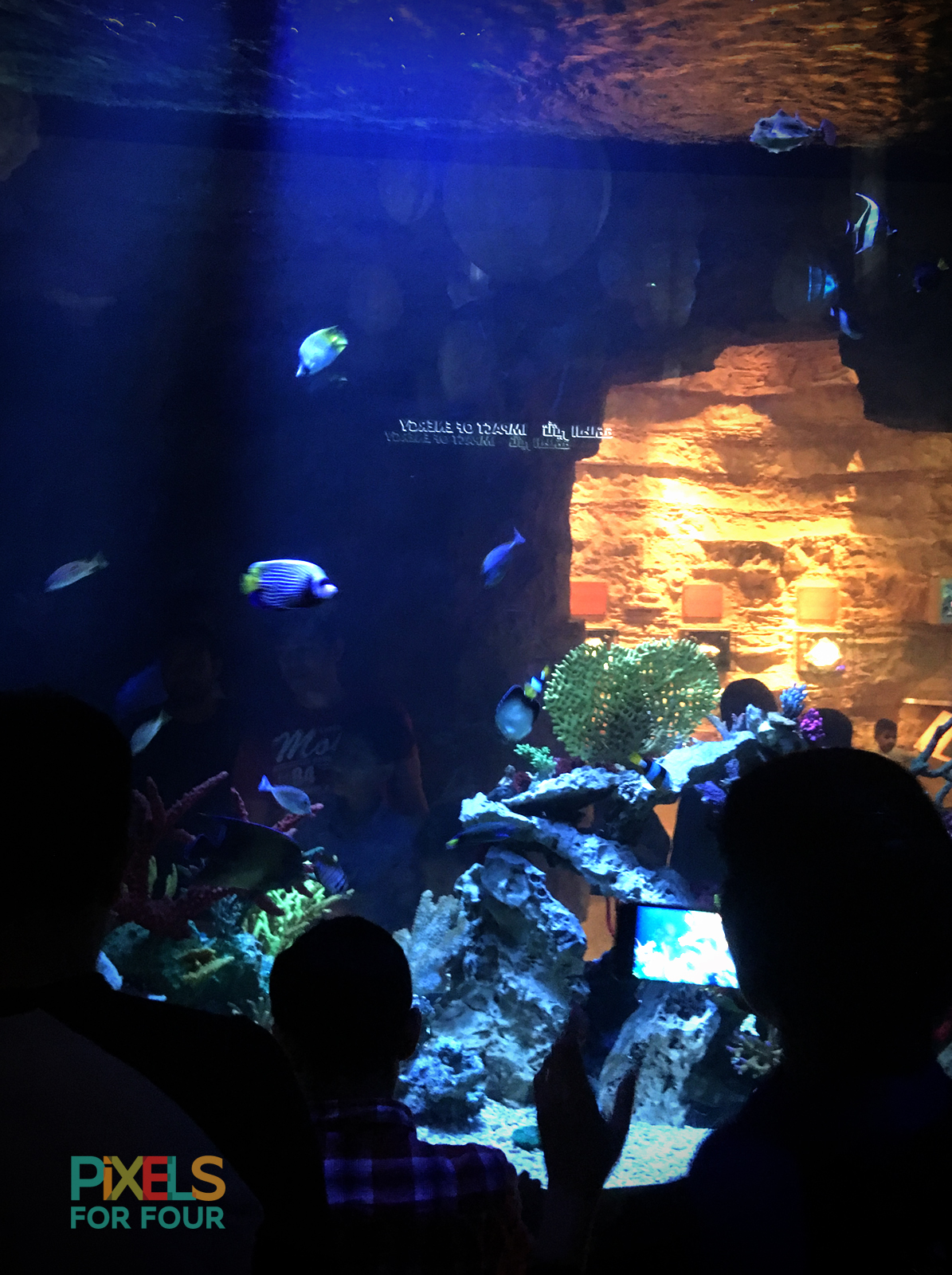 King Abdulaziz Center for World Culture Visit