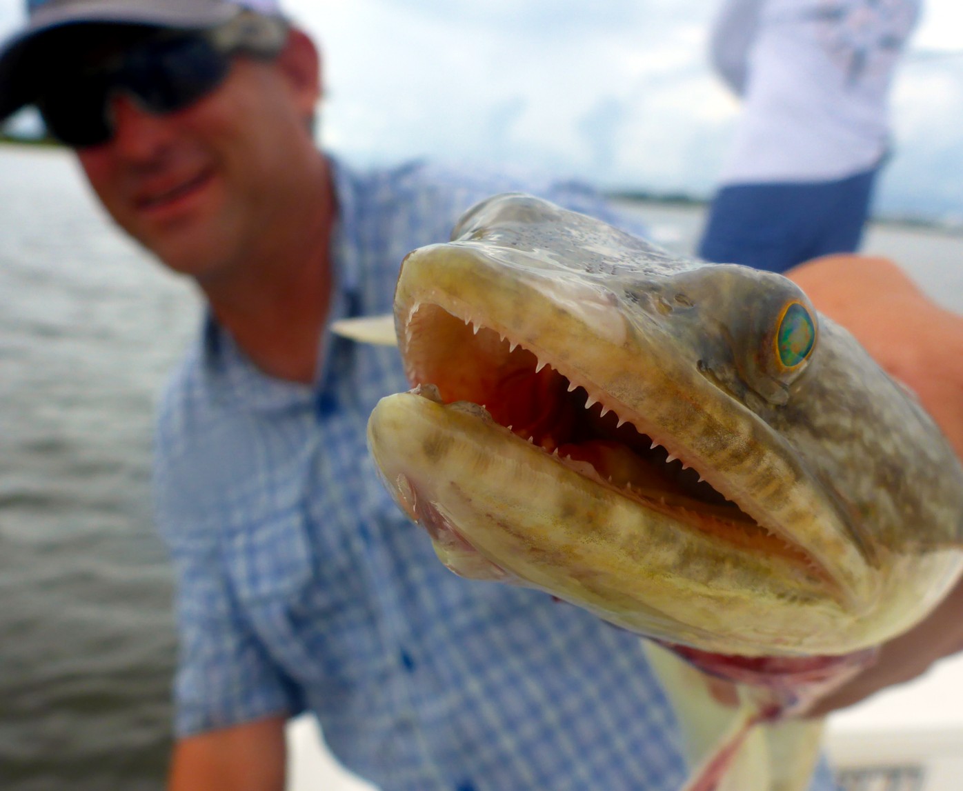 Jeff Samsel Fishing: Five New Species Catches