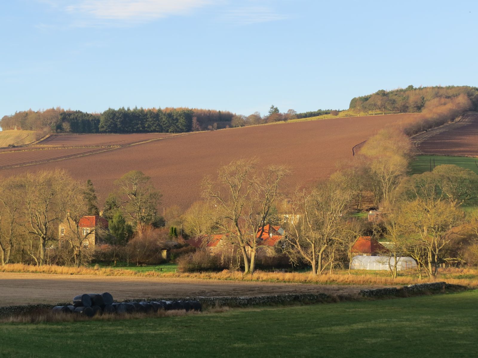 Footsteps Through Fife: Unexpected Benches - Kilmany Circular - 22nd ...