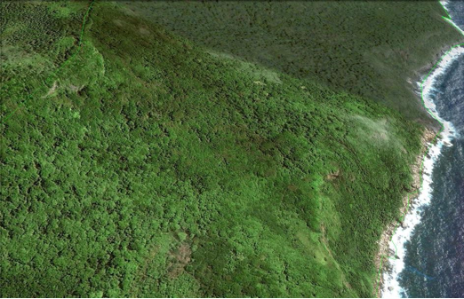 Tongan Tropical Moist Forests: Forest Cover