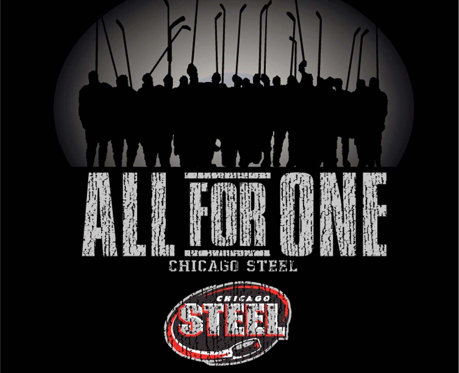 Chicago Steel Hockey: The Chicago Steel Begin the 2014-15 USHL Season ...