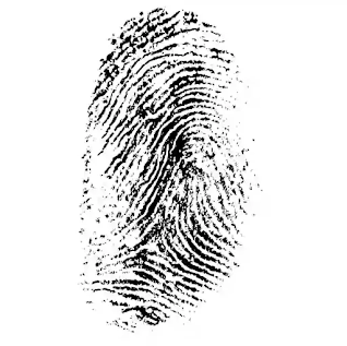 (Best ) importance and pattern of fingerprints ~ Forensic Fingerprint