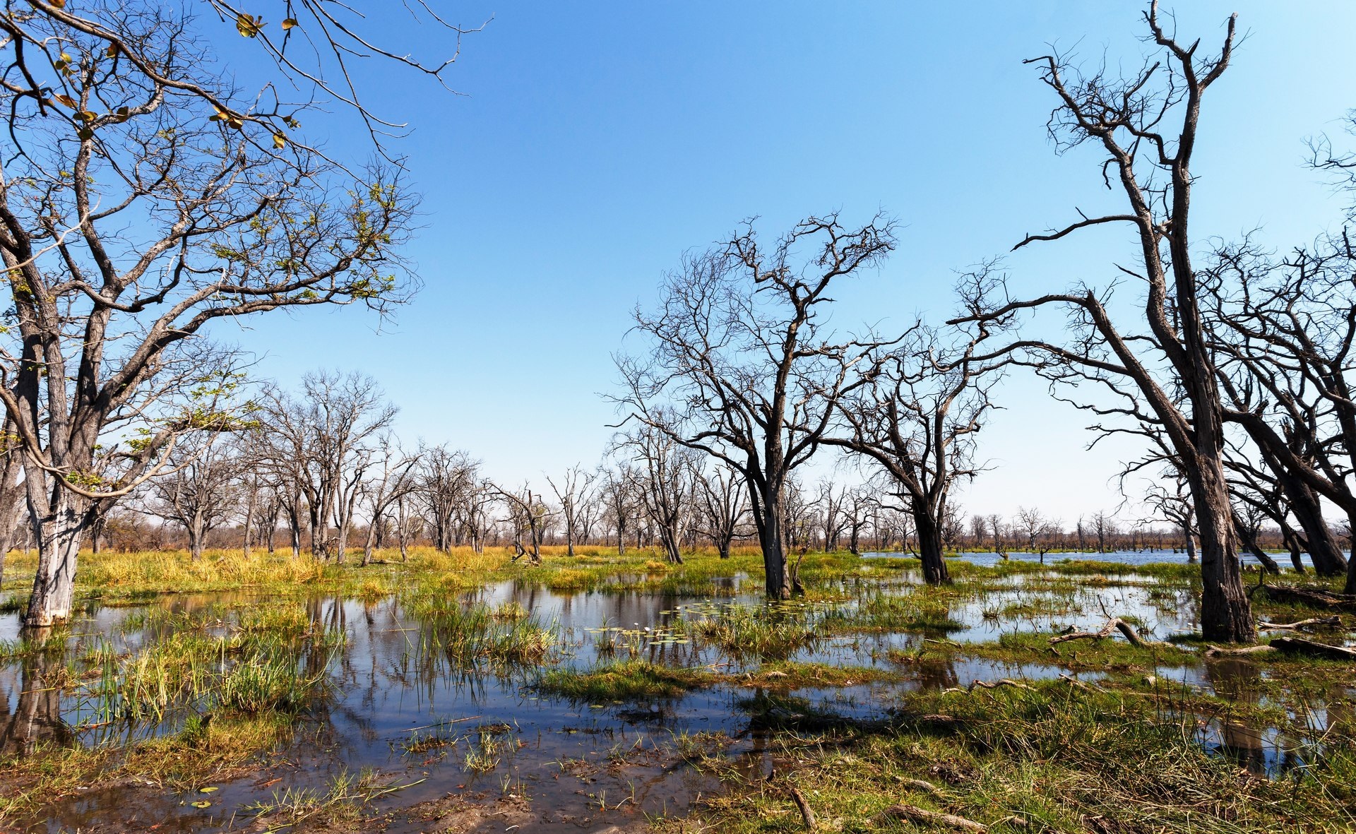 Cubango Okavango River, Botswana (with Map & Photos)