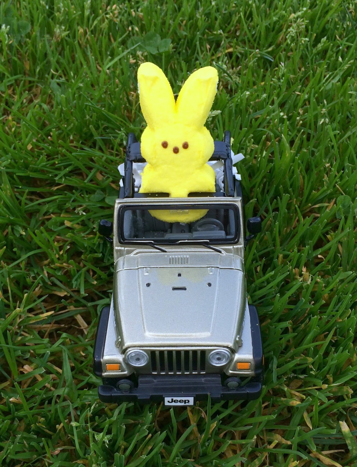 Jac o' lyn Murphy: A few fun ways to give Peeps