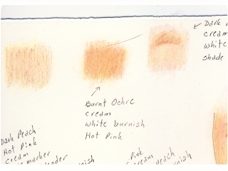 Kell Belle Studio: Colored Pencil Drawing - Color Study