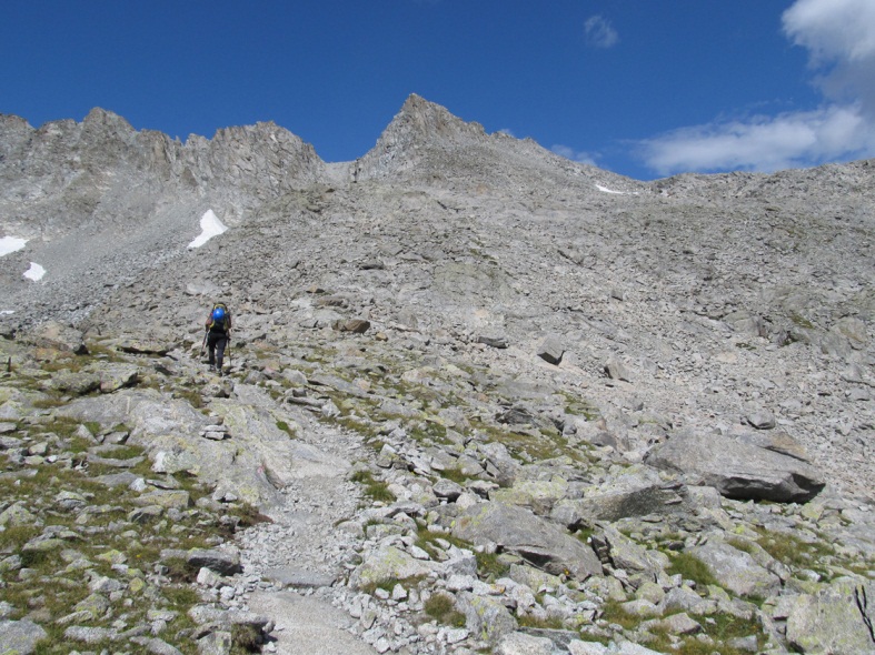 Escursionismo a 360°: Il Sentiero dei Fiori e Cima Payer (EEA)