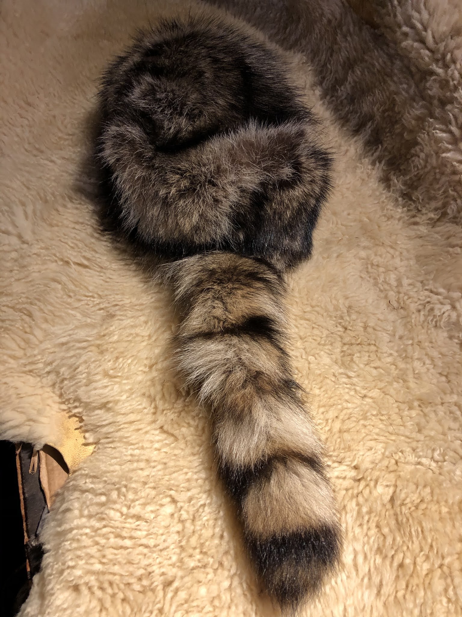 LeatherworkMeritBadge: Coonskin caps!