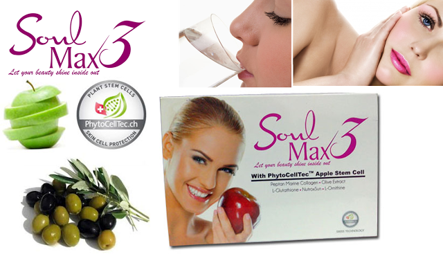 Firmax3 : Soulmax3 Triple Stem Cell