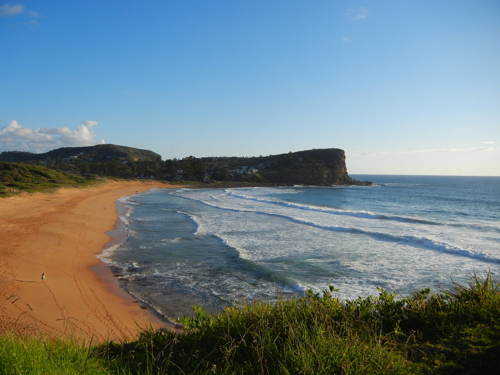 Eating Avalon: Avalon Beach