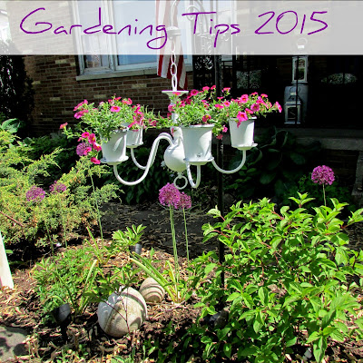 Spring Garden Tips & Photos 2015 | Rustic & Refined