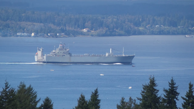 Shoreline Area News: Scene on the Sound: SS Cape Island