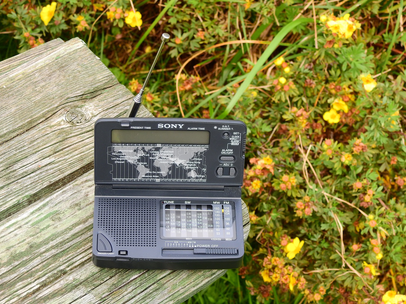 Soapbox photos: In camera: Sony ICF-SW12 in 2019