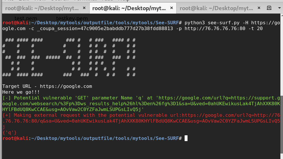 See-SURF - Python Based Scanner To Find Potential SSRF Parameters
