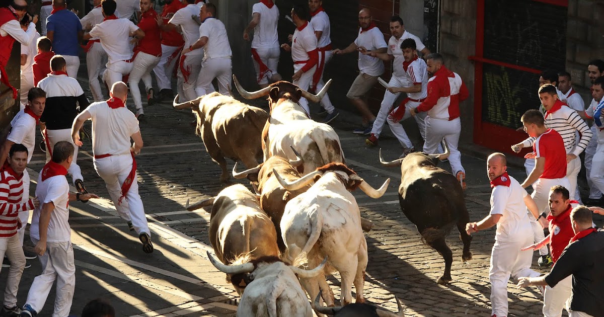 Las fotos de David: Carrera dorada