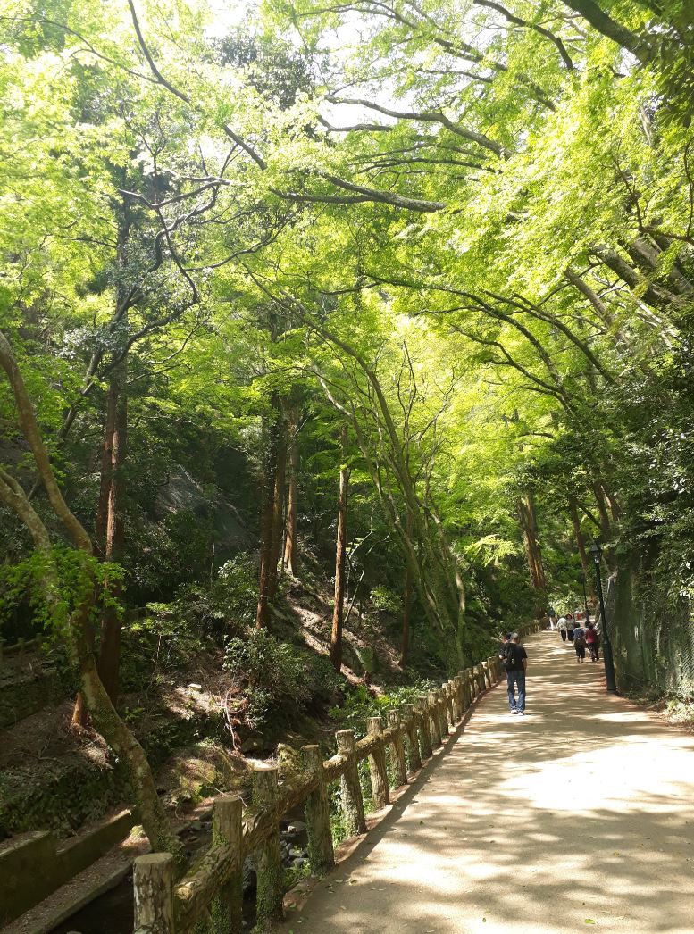 8 Reasons why you should visit Minoo Park