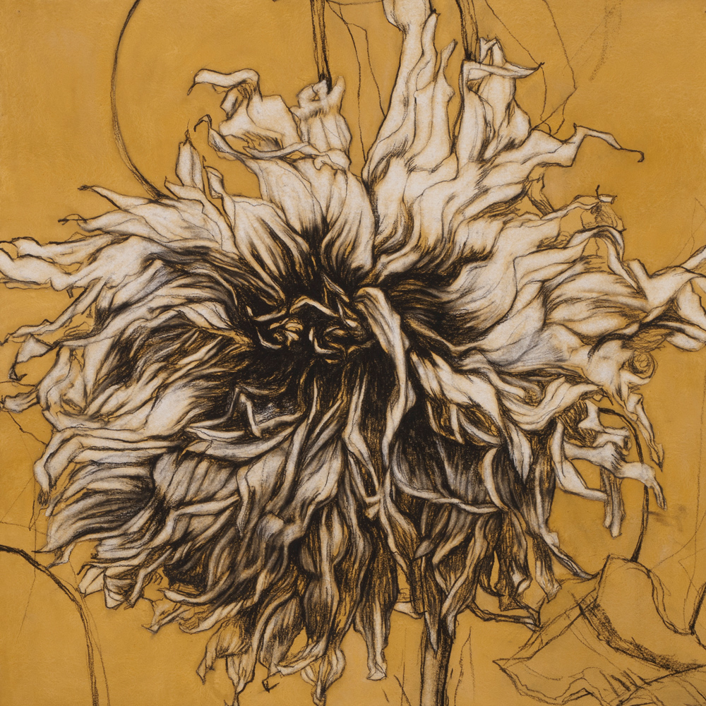 The Little Red Umbrella: Artists To Watch: Helen Gotlib