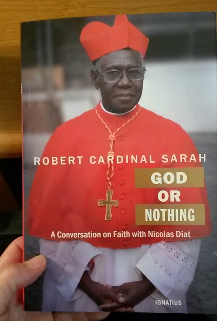 Stealth Hermitess: Cardinal Sarah's Book