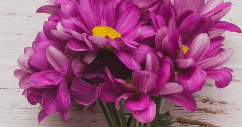 All About Women's Things: Florist Tips - How To Make Fresh Flowers Last ...