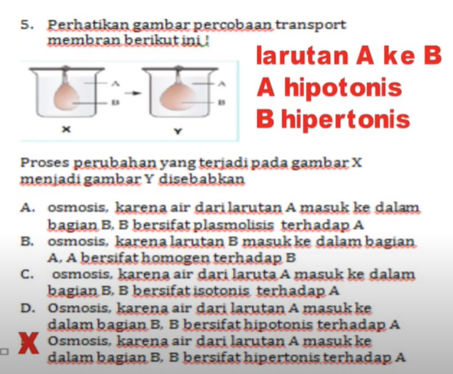Wety Yuningsih: Transportasi Pada Membran