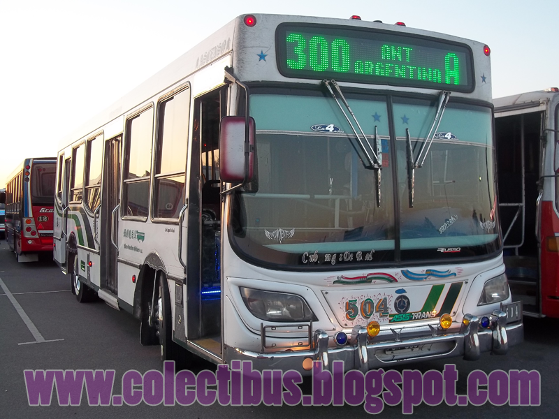 Colectibus - Zona de Buses: LINEA 300