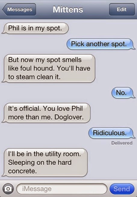 15 Text Messages A Cat Would Send If Cats Could Actually Text