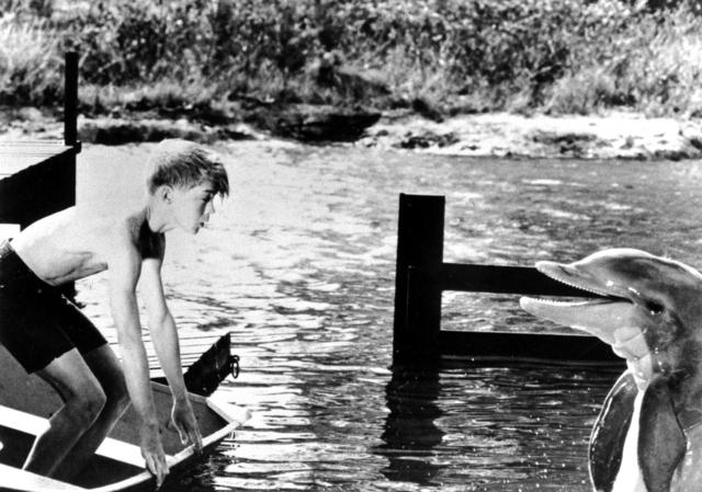 Movie Lovers Reviews: Flipper (1963) - Wonderful Scenery inhabited by ...