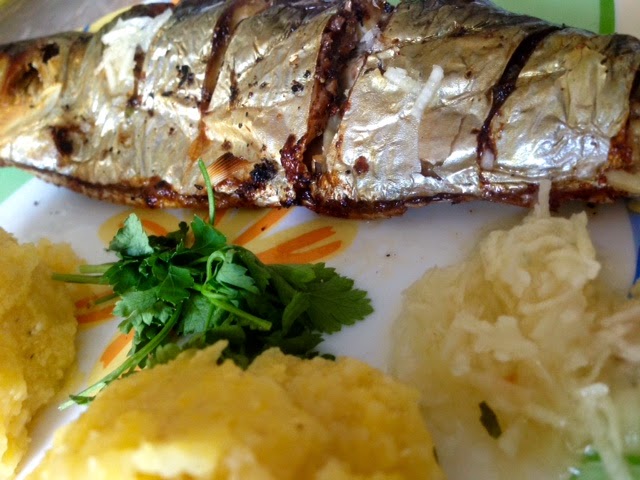 Chef De Cuisine Puiu-Oana-Mihaela: Scrumbie de Dunare la gratar