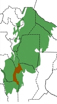 Argentina nativa: Chaco seco