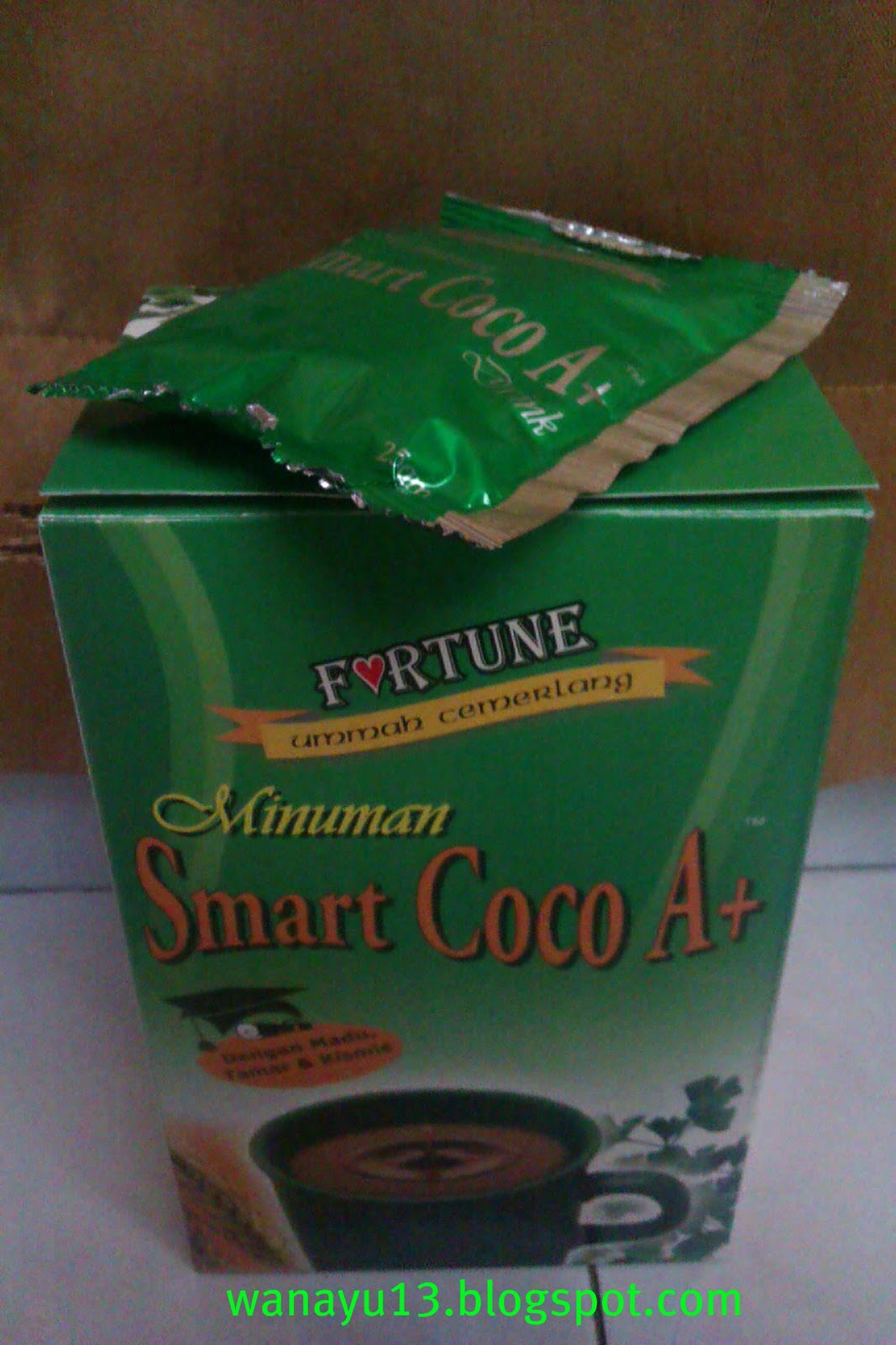 WANAYU13's COLUMN: Smart Coco A+