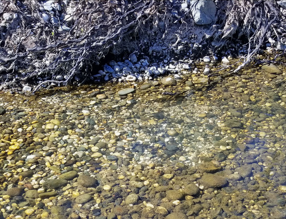 Fly Fishing with Cat Toy: Fishing during a Trout Spawn