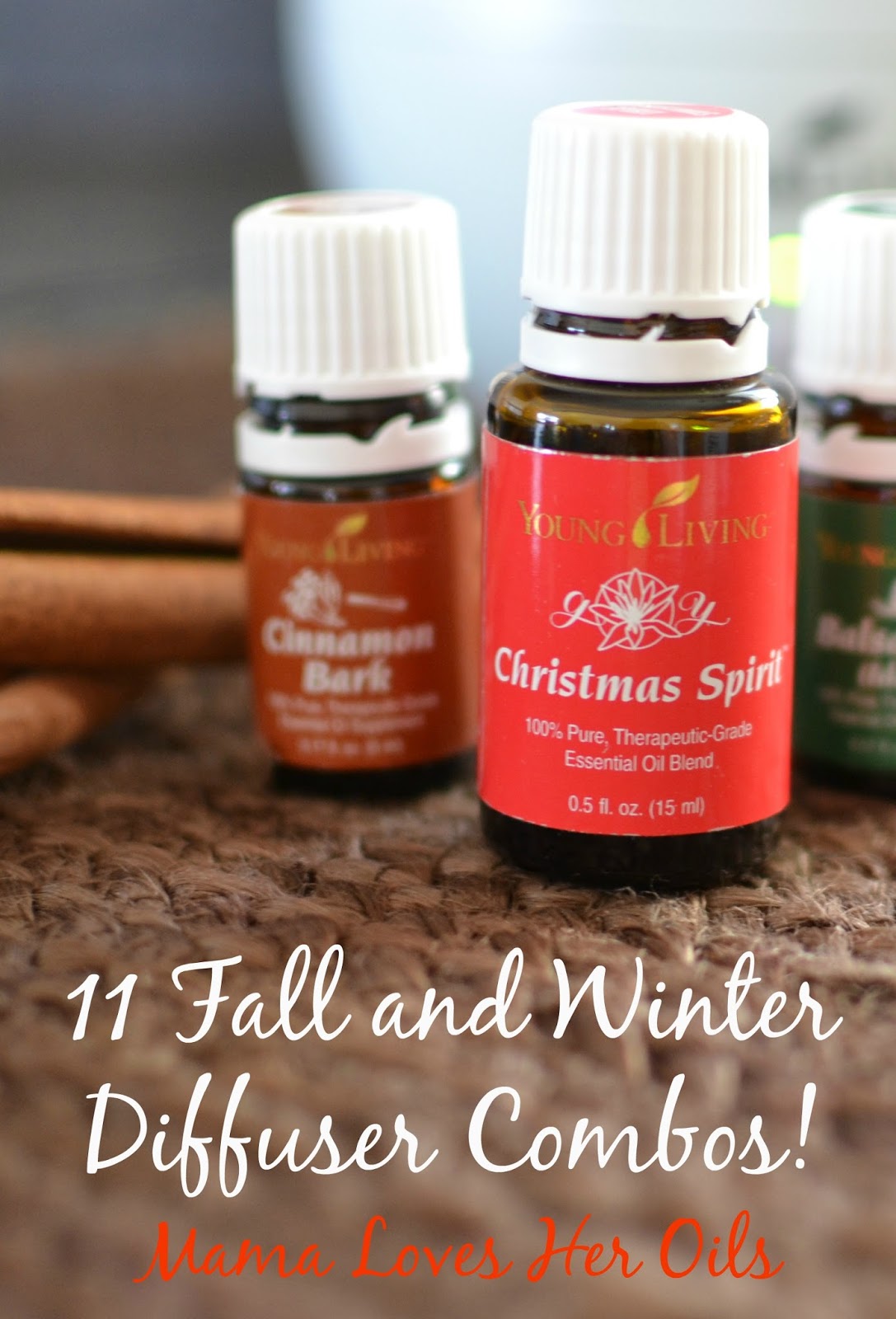 11 Fall and Winter Essential Oil Diffuser Combos You Have to Try!