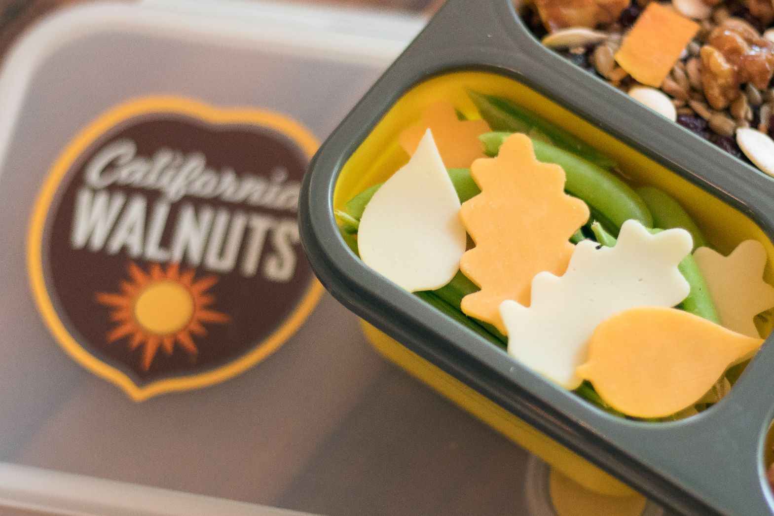 Lunchbox Dad: A Candied Walnut Eating Squirrel School Lunch Recipe