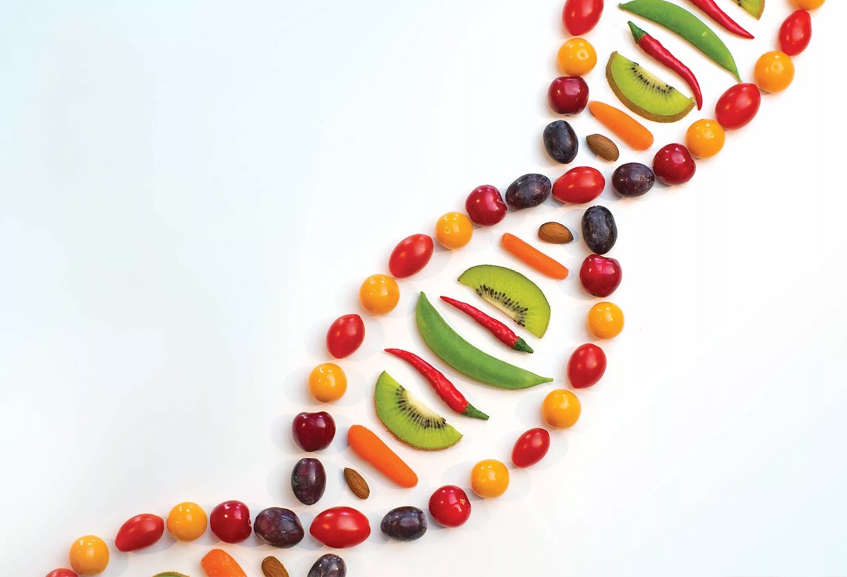Safe Harbour Wellness: DNA Nutrigenomic Testing in USA: Lose Weight ...