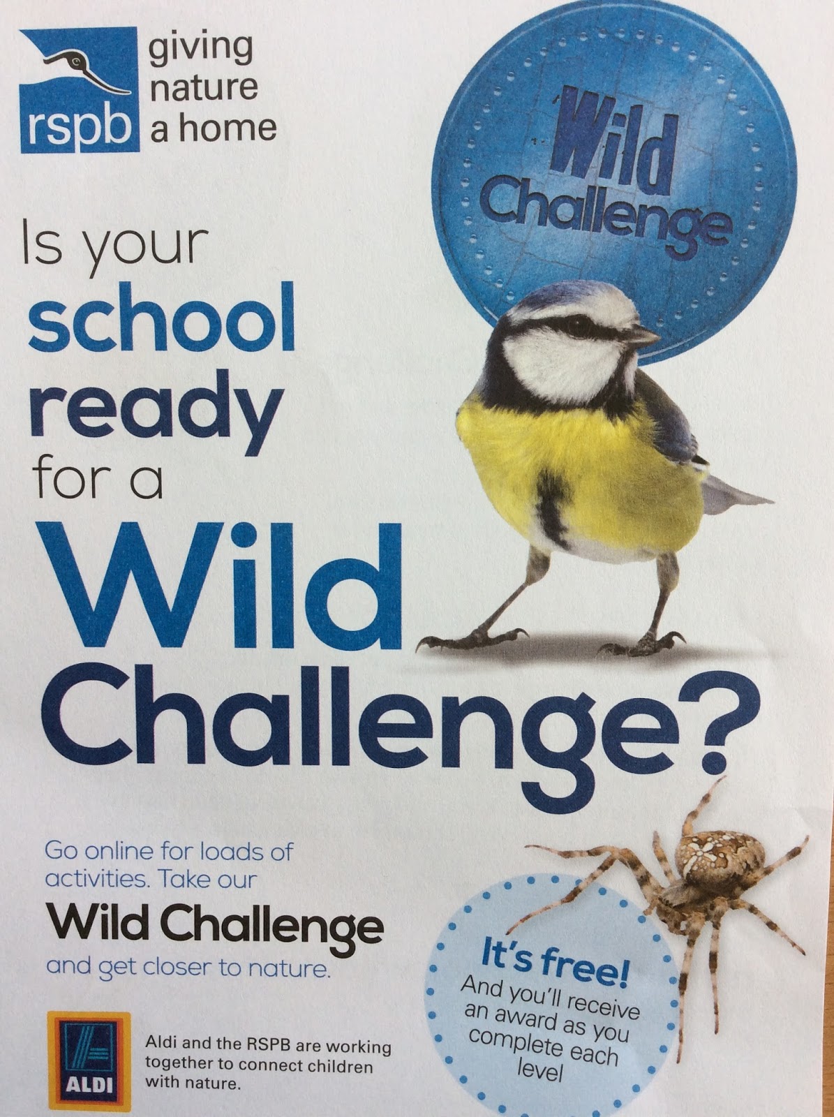 Mead Primary: RSPB Big Schools' Birdwatch