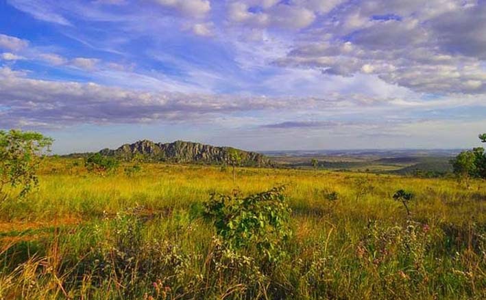 SABER CURIOSIDADES: 15 CURIOSIDADES E INFORMAÇÕES EDUCATIVAS SOBRE O ...