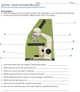 Biology with Salcido: Virtual Microscope Lab