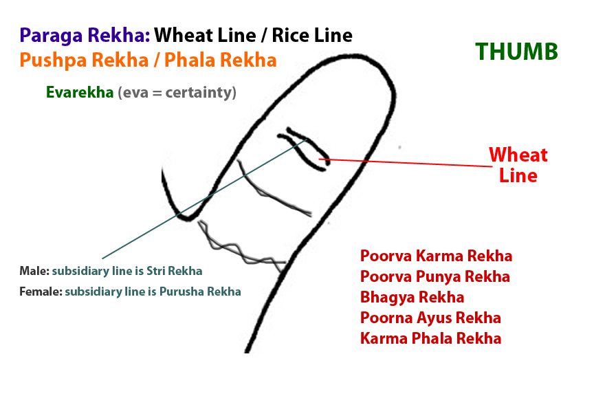 Sacred Science: Hast Rekha Sastra: Hindu Science of Palmistry